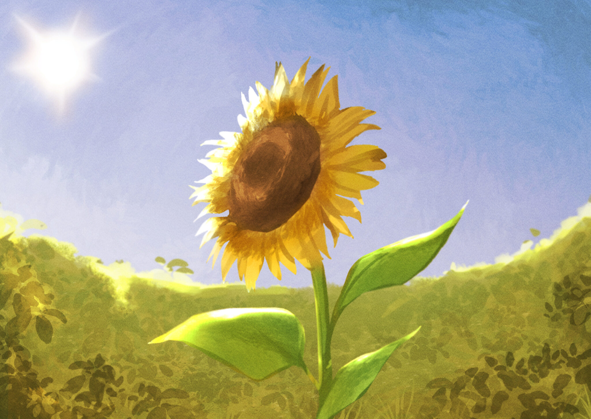 The Sunflower Grows - Half and One